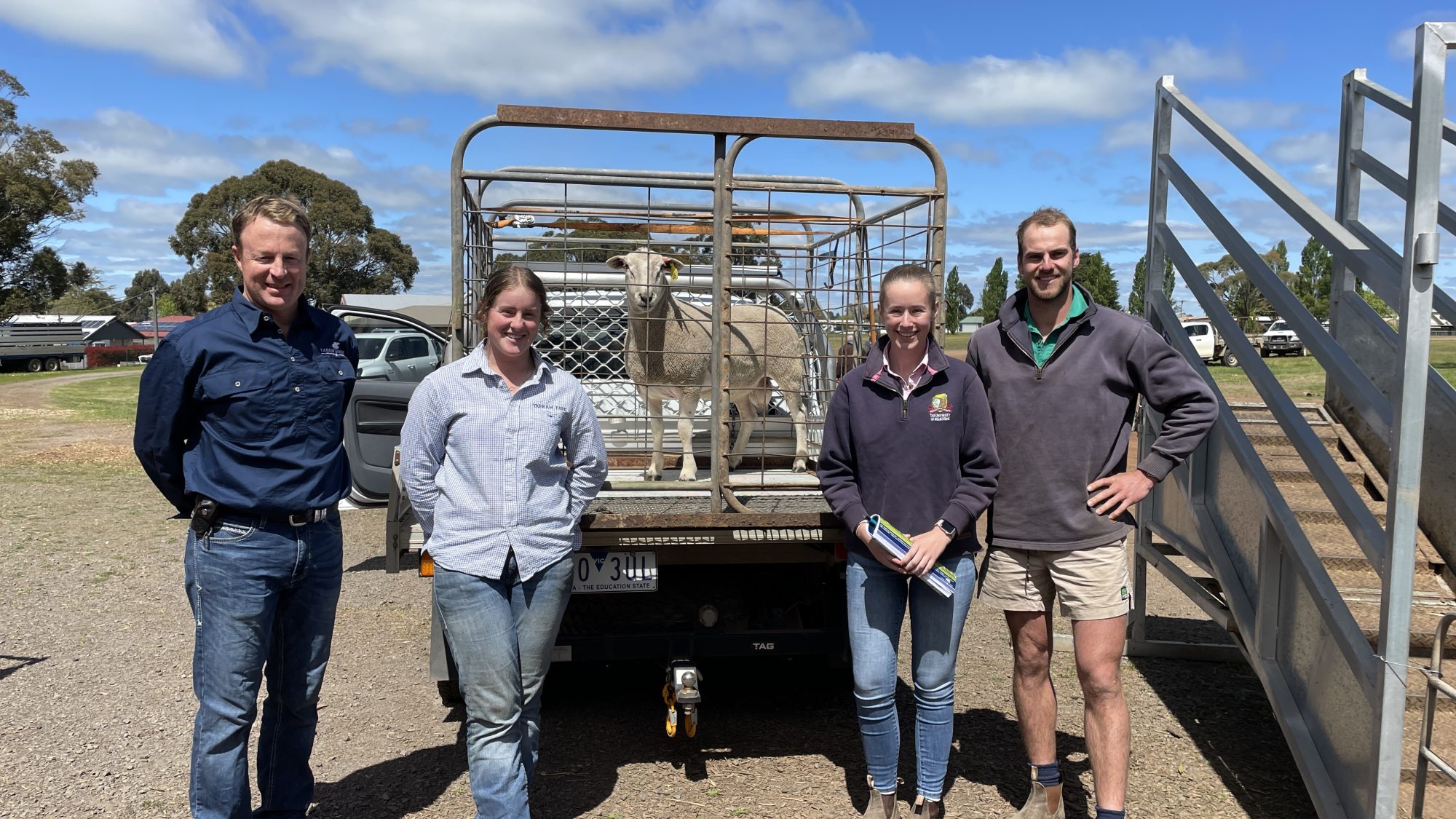 Annual Ram Sale - Yarram Park