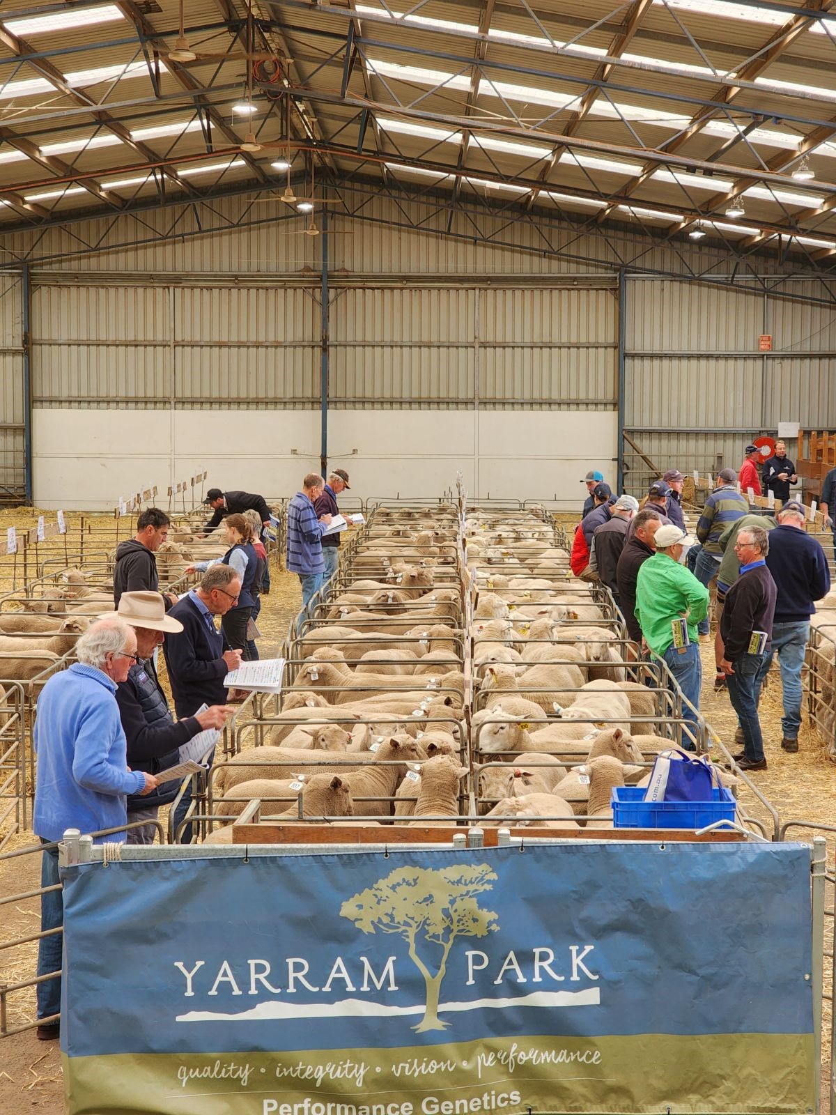 Annual Ram Sale - Yarram Park